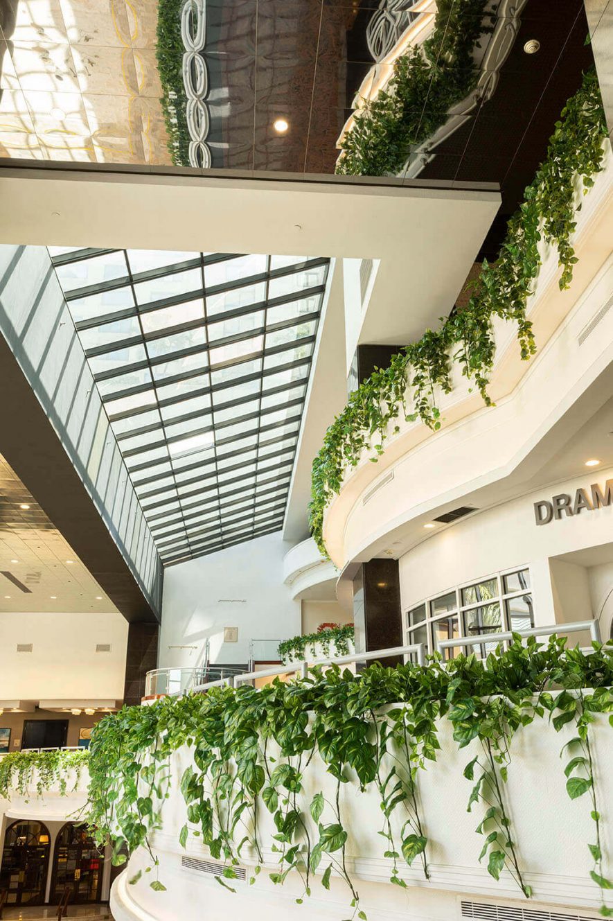 office-trees-plants-at-datran-center-treescapes-plantworks